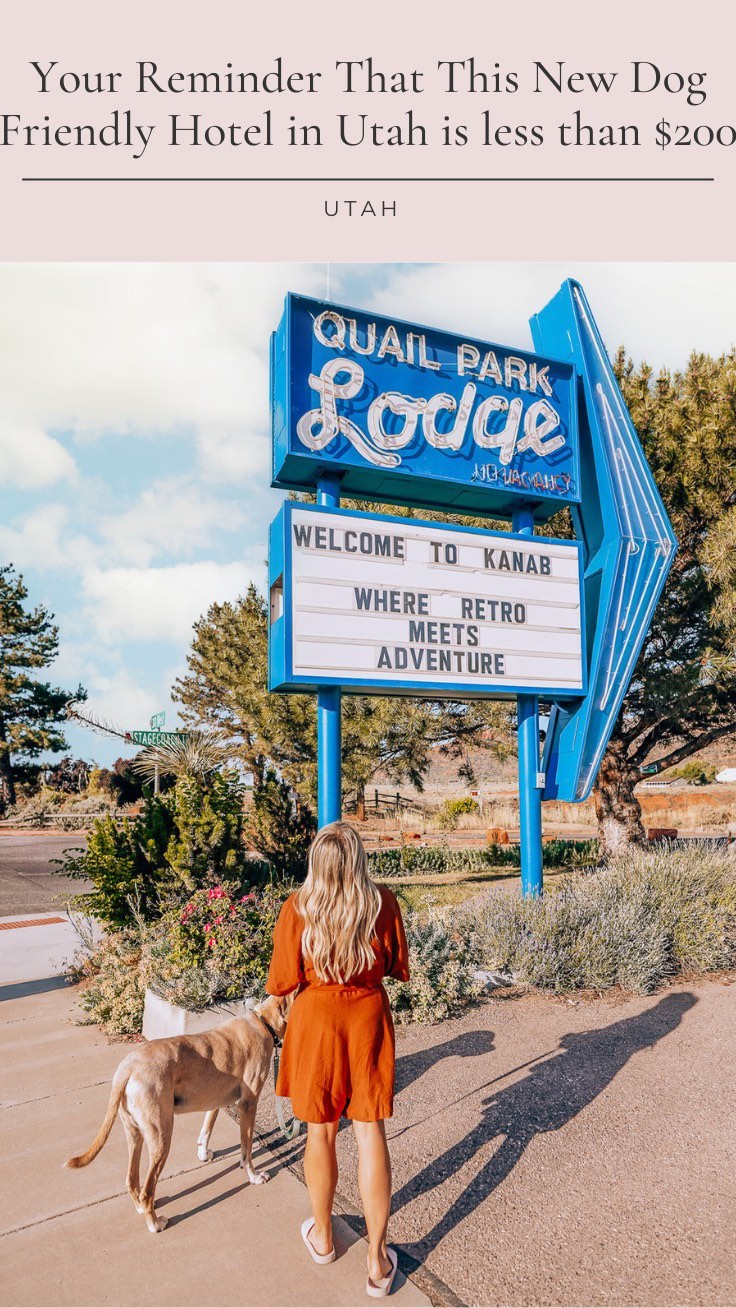 Best Alaska Cruise Travel Tips: What you need to know before visiting ...