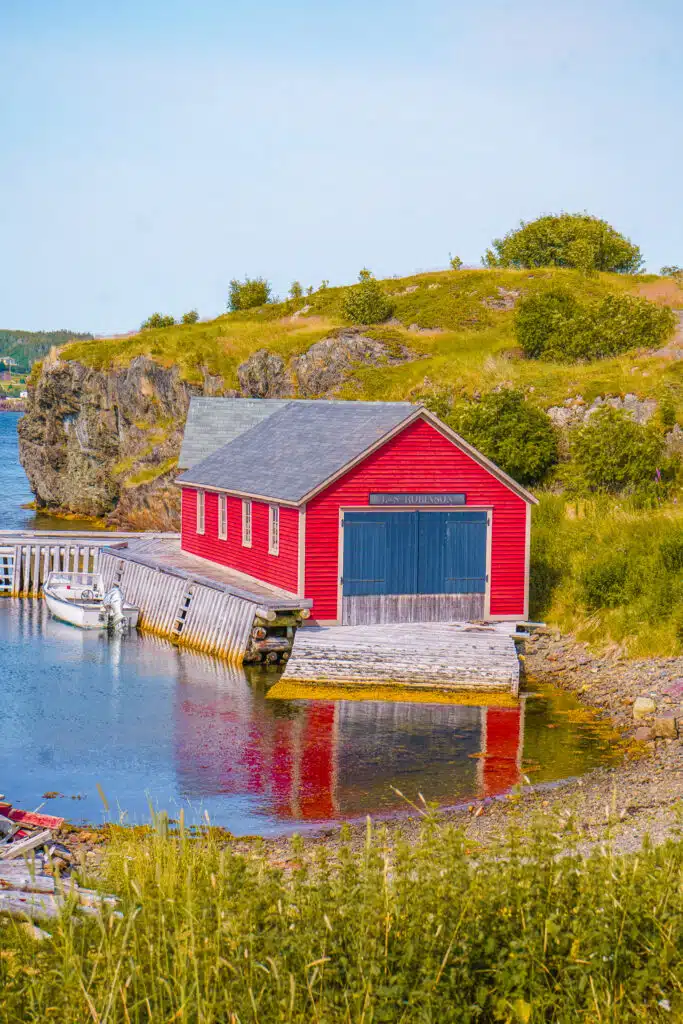 Where to See Puffins in Newfoundland: Best Spots to See These Cute ...