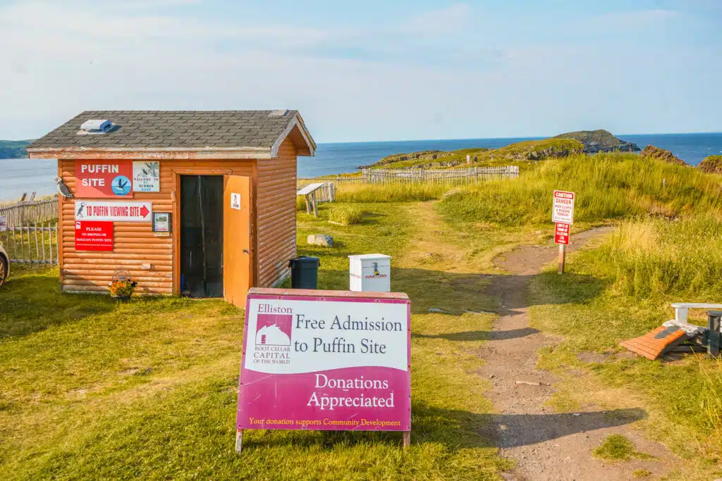 Where to See Puffins in Newfoundland: Best Spots to See These Cute ...